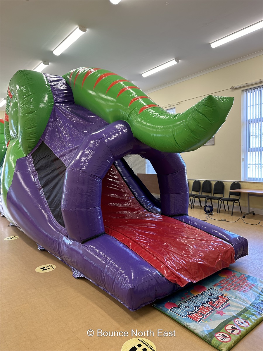 Dinosaur Fun Run Party Package - Bouncy Castle Hire and Kids Party ...