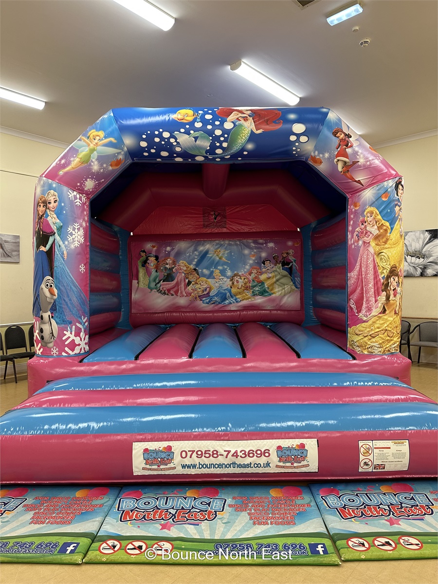 Princess Party Package - Bouncy Castle Hire and Kids Party Packages in ...