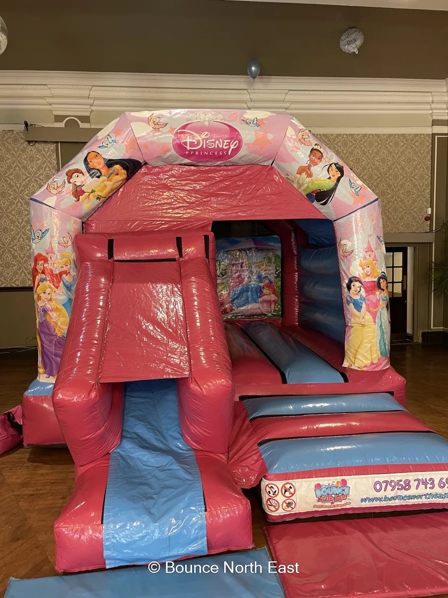 Princess Party Package - Bouncy Castle Hire and Kids Party Packages in ...